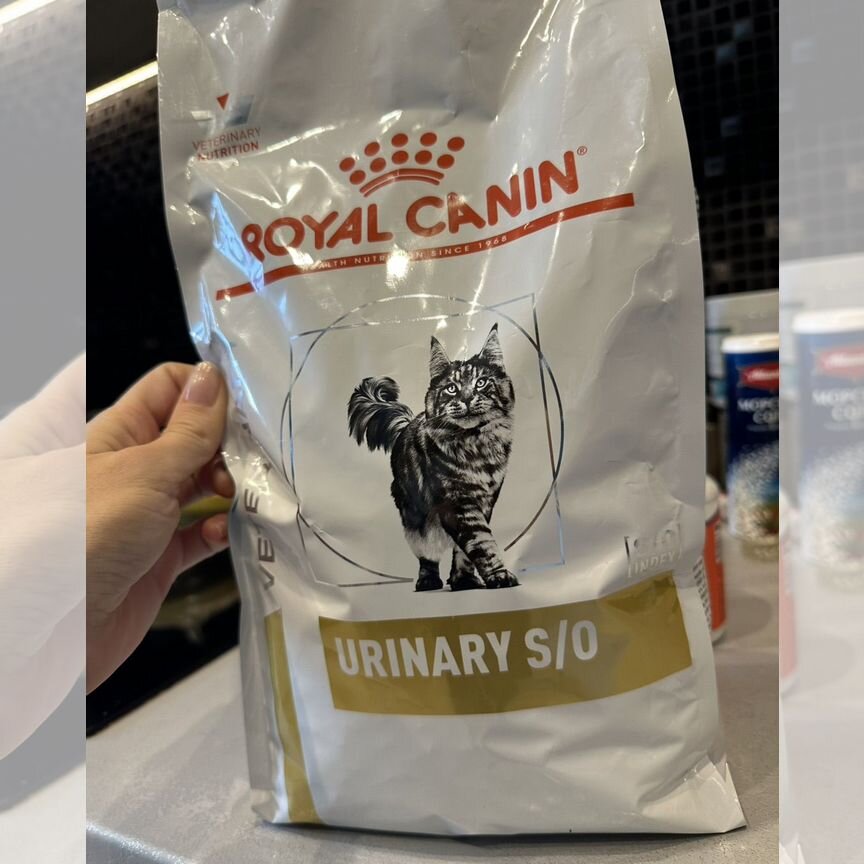 Корм для кошек royal canin