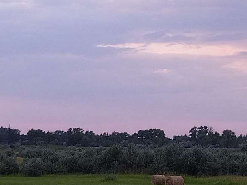 Сено луговое в тюках
