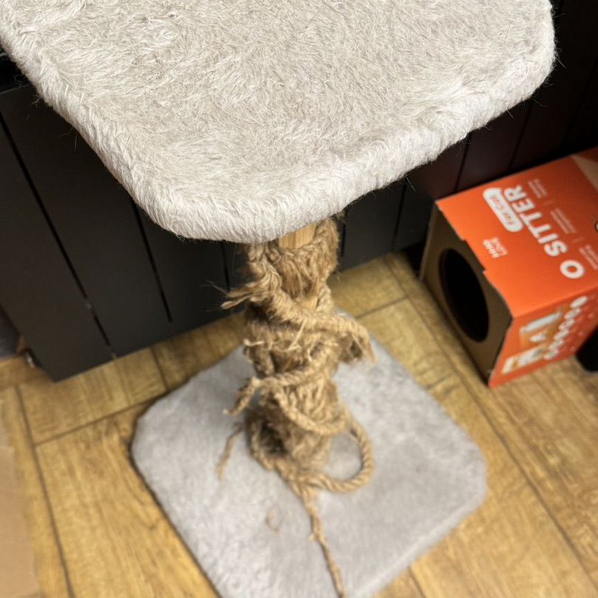 Когтеточка для кошек бу бесплатно