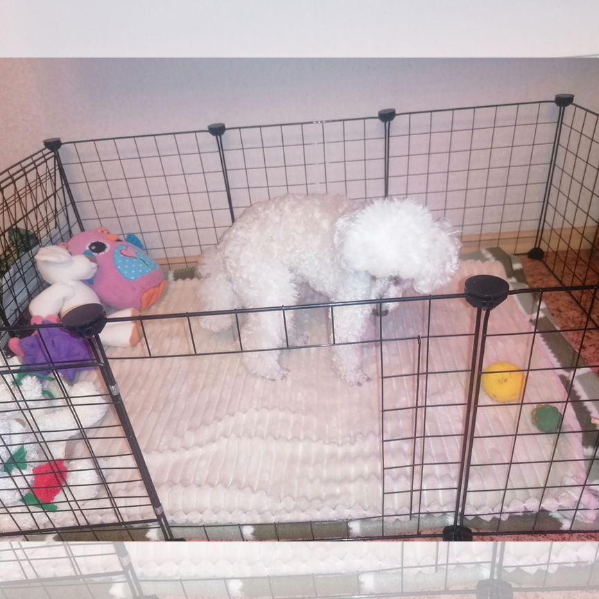 Клетка вольер для собак в квартиру