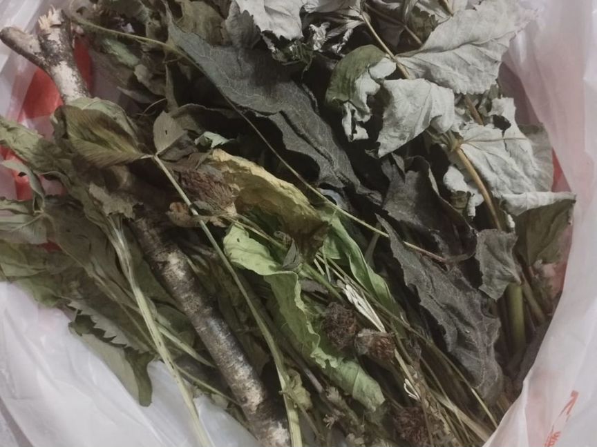 Лакомство для грызунов