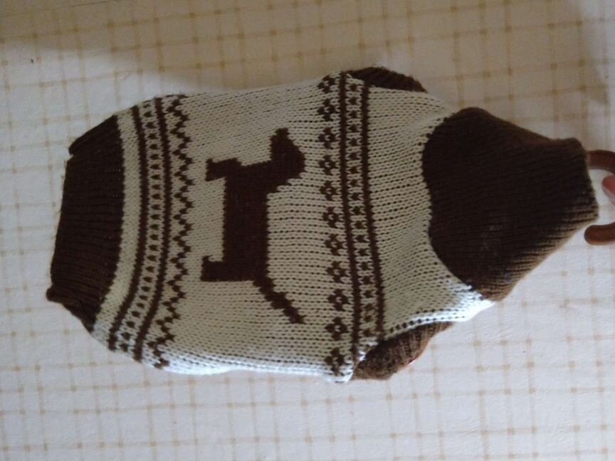 Одежда для маленьких собак
