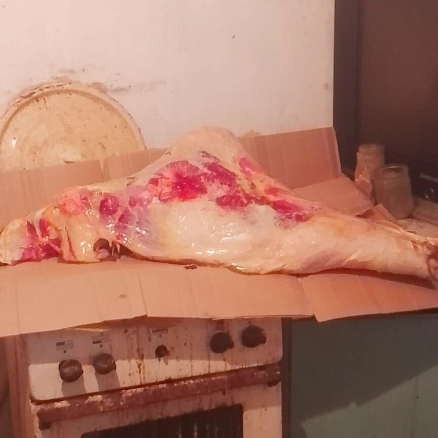 Продам мясо говядина на корм собакам