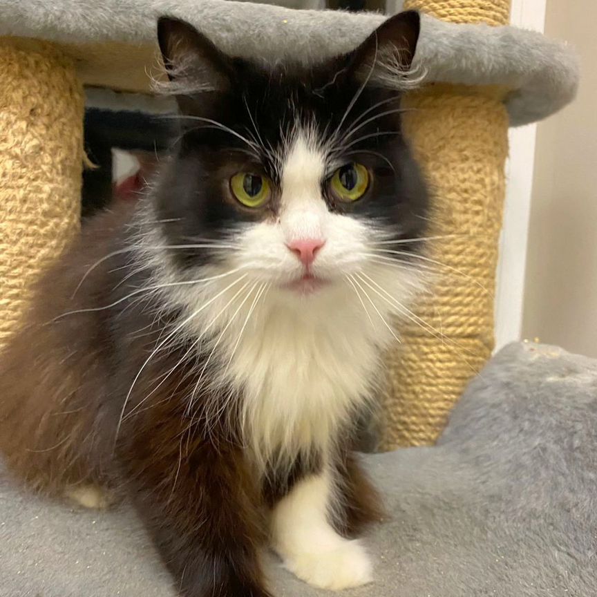 Никто не замечает