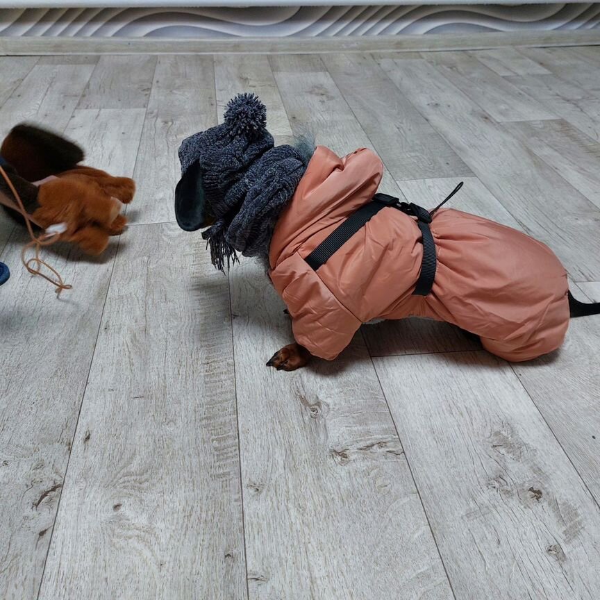 Костюм для собаки зимний 2xl