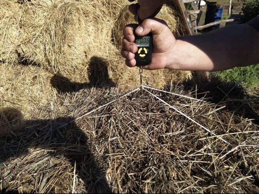 Сено в брикетах