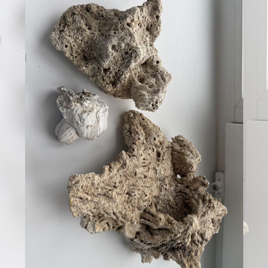 Декор для морского аквариума