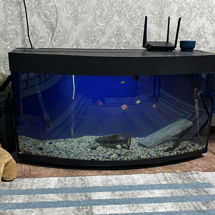 Аквариум бу с рыбками