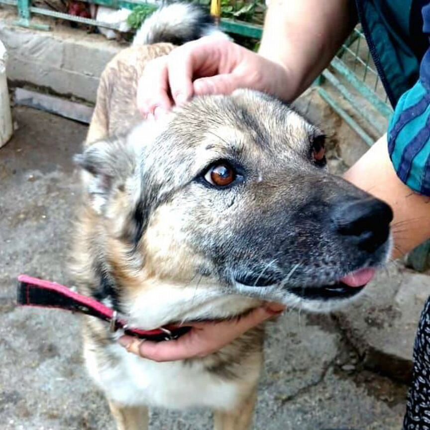 Охранник Тимур