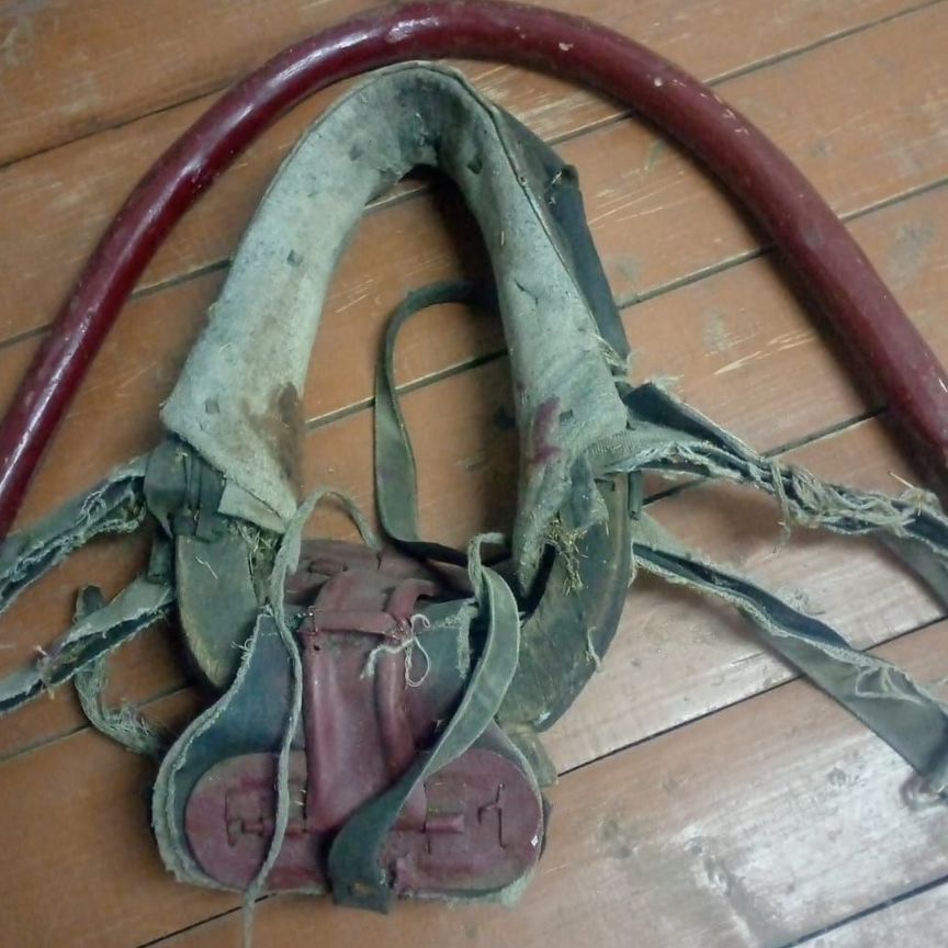 Упряжь для лошади