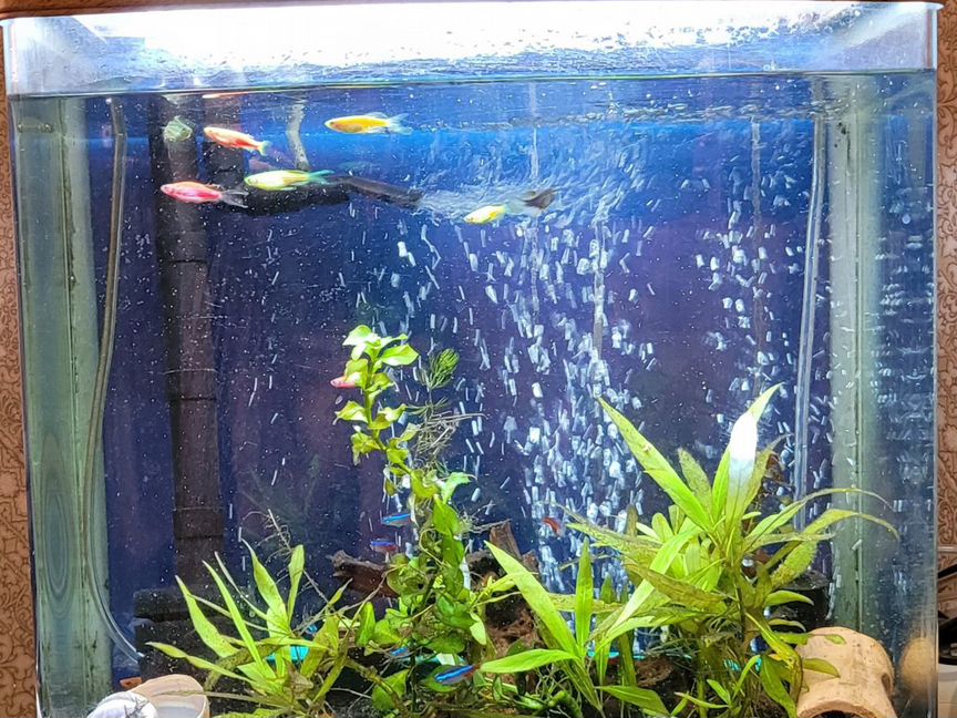 Аквариум Jebo R 338