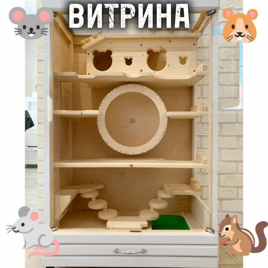 Животные
