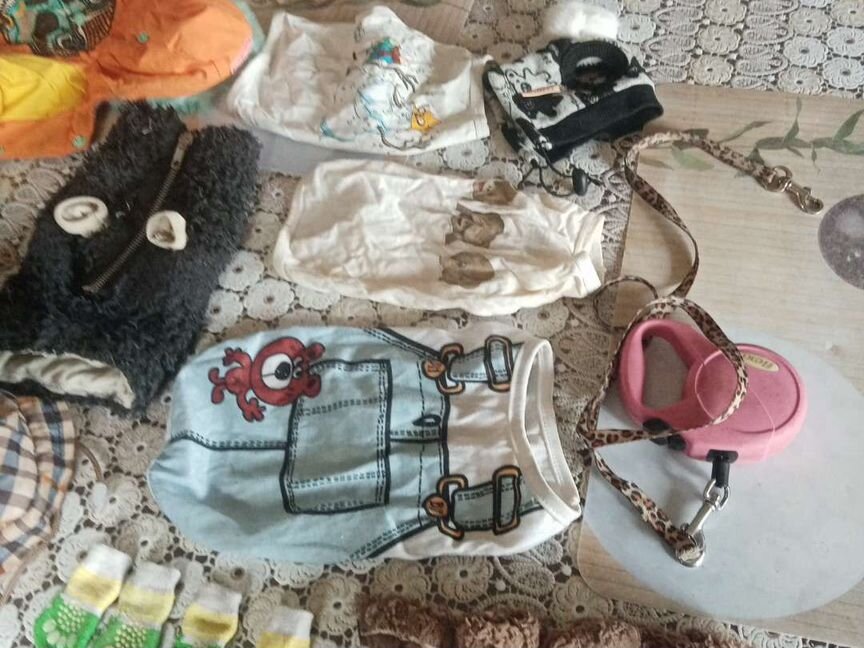 Одежда для маленьких собак