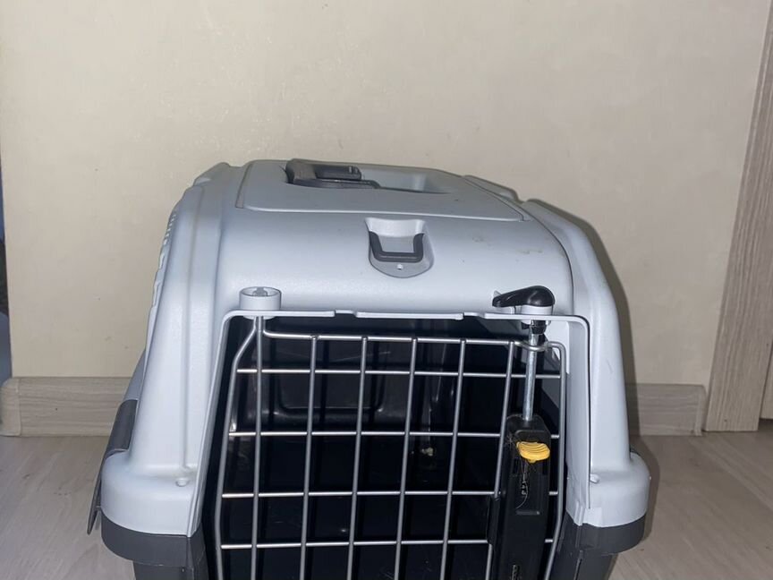 Аренда переноски для собак и кошек