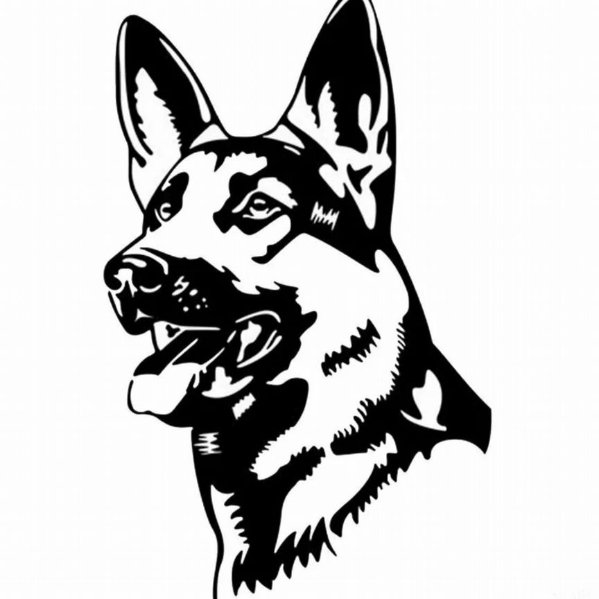 Немецкая овчарка, взрослая собака