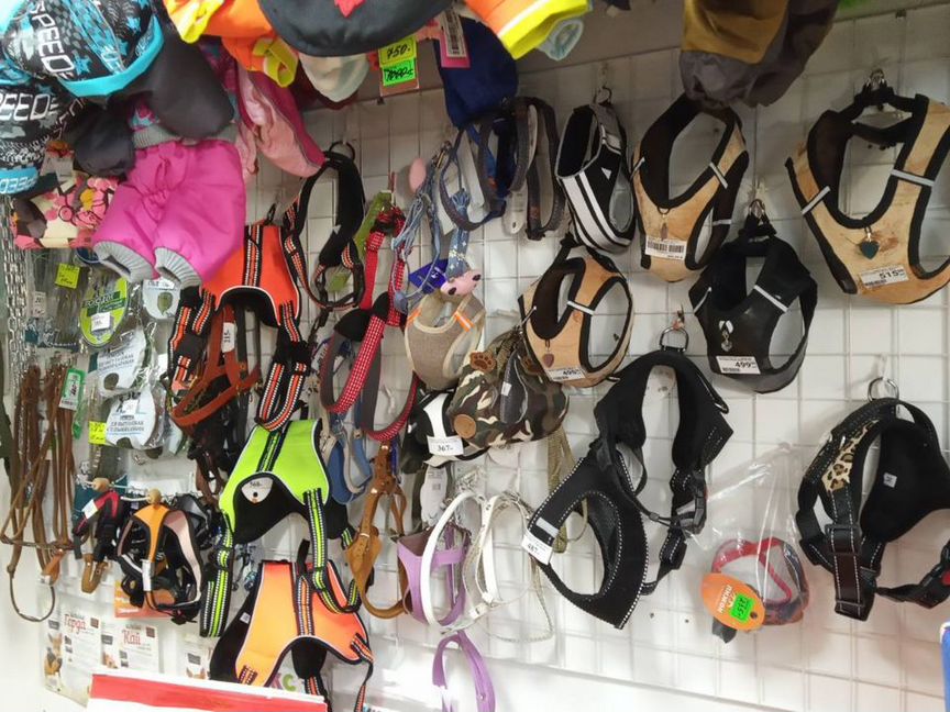 Шлейки в ассортименте