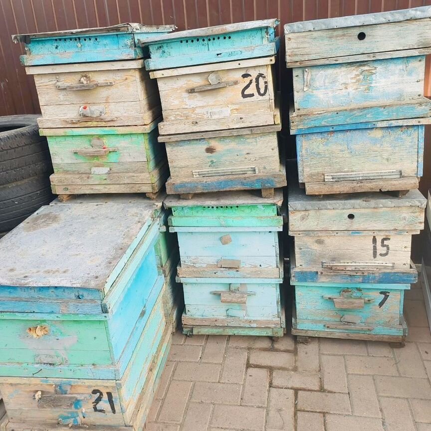 Ульи для пчел