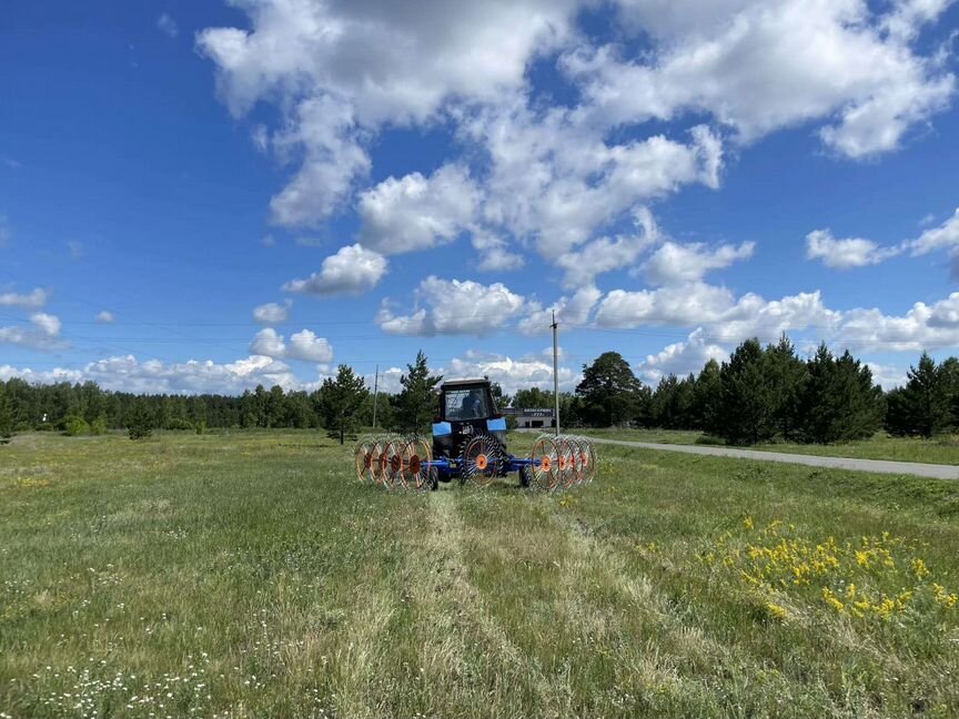 Сено в тюках