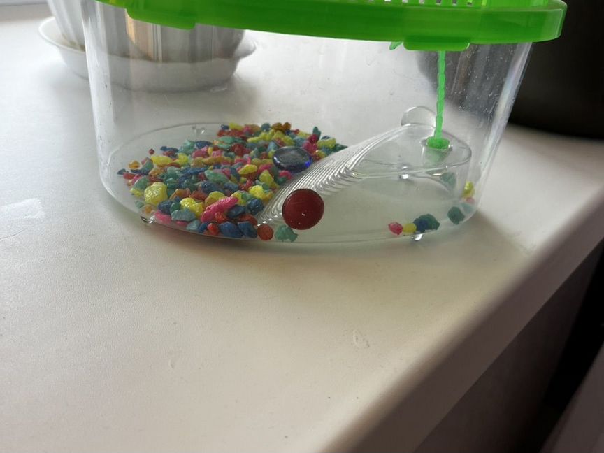 Домик для черепашки