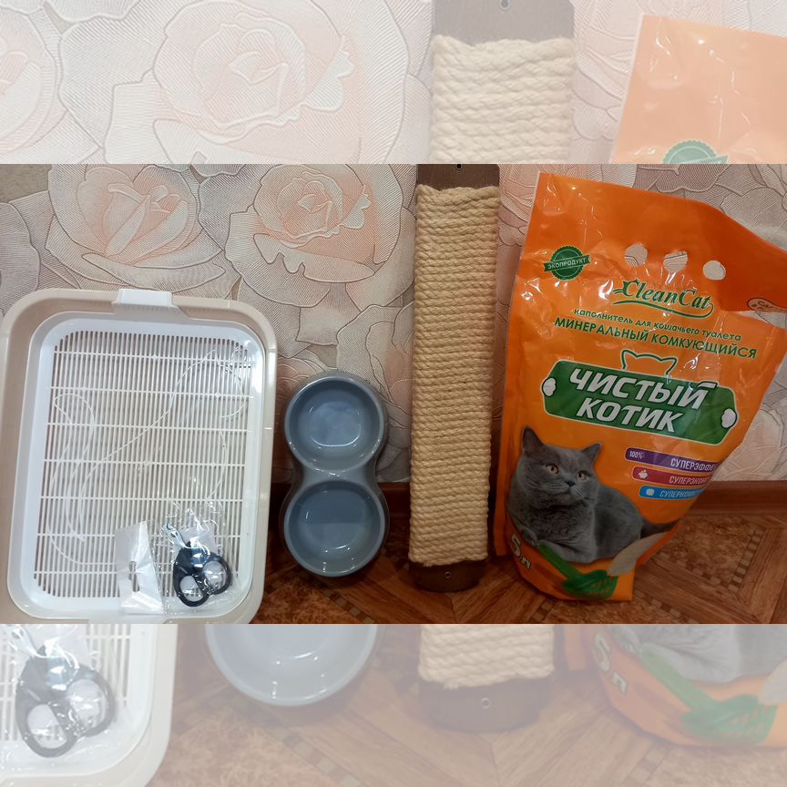 Принадлежности для кошек