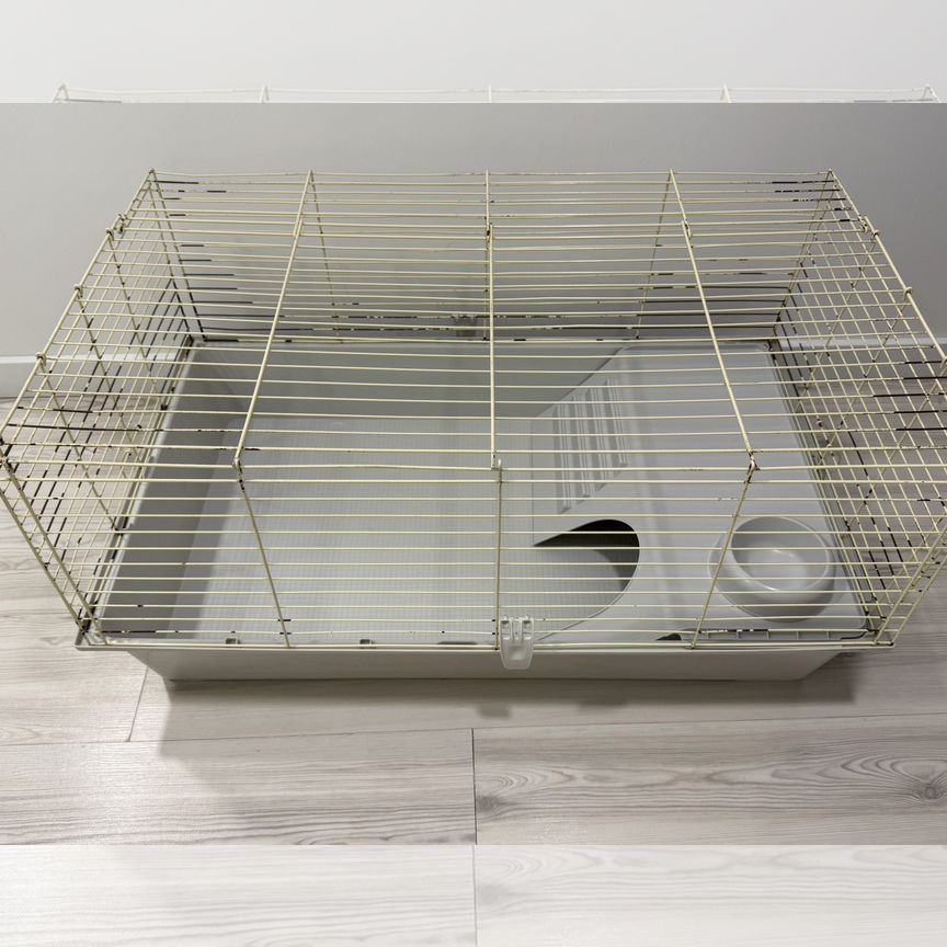 Большая клетка