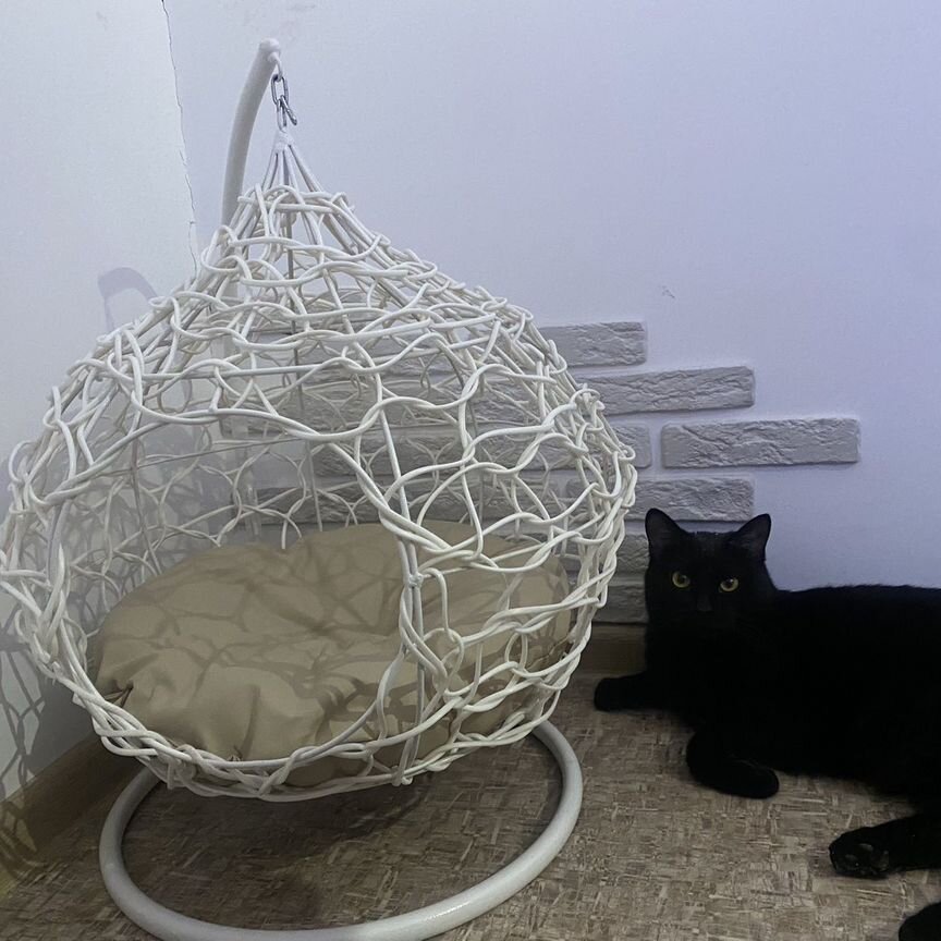 Котовые апартаменты лакшери