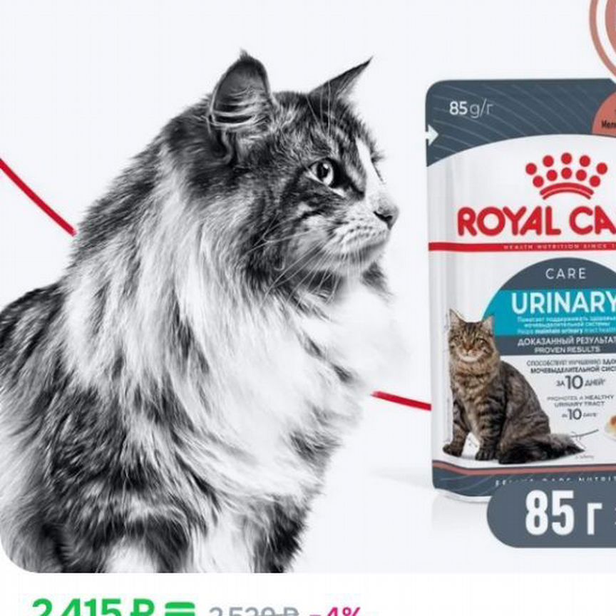 Корм для кошек royal canin urinary