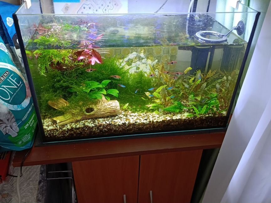 Аквариум с тумбой бу60 литров