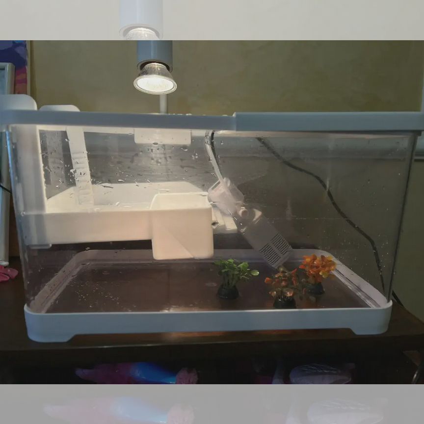 Аквариум для красноухой черепахи