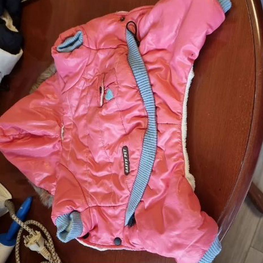 Одежда для маленьких собак зима