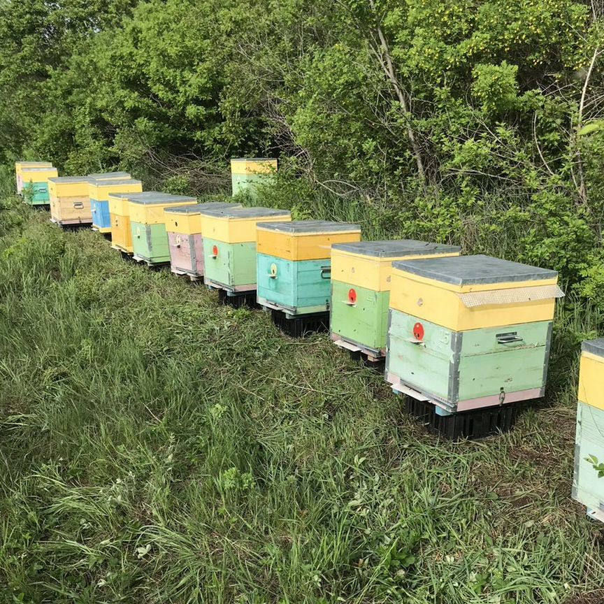 Ульи 12-ти, 16-ти рамочные, лежаки