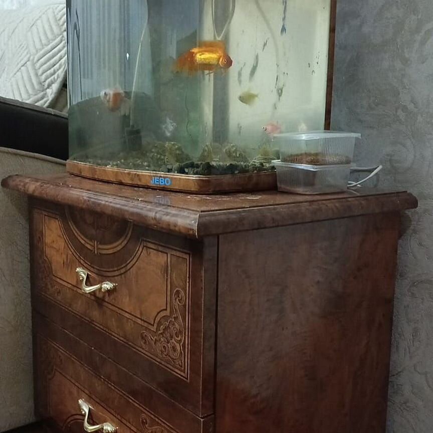 Аквариум