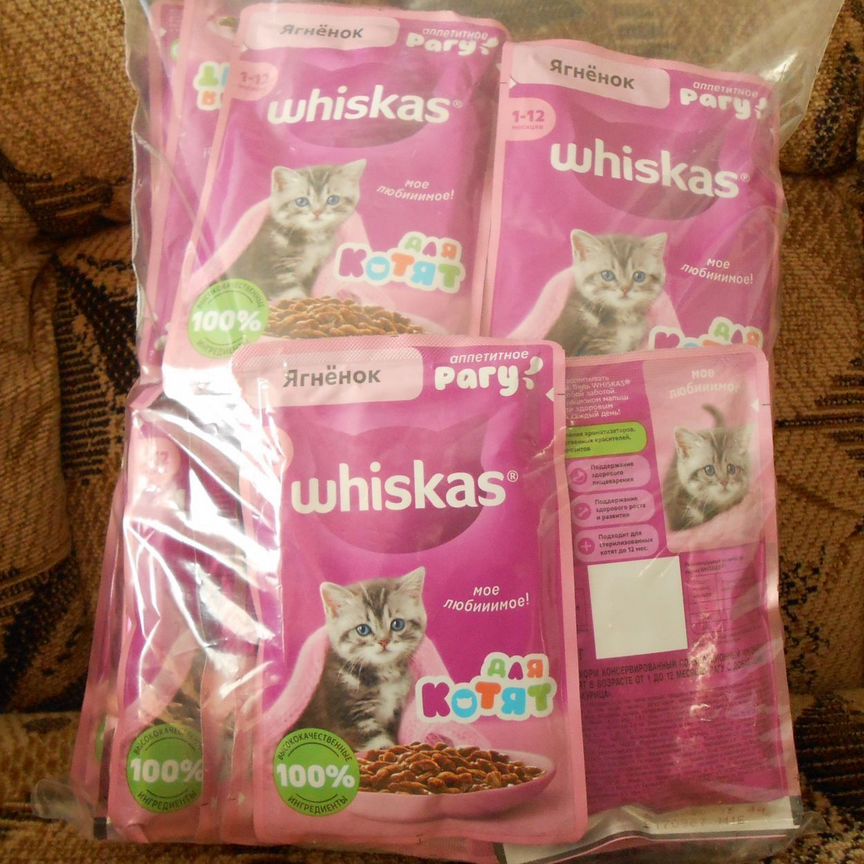 Влажный корм для котят