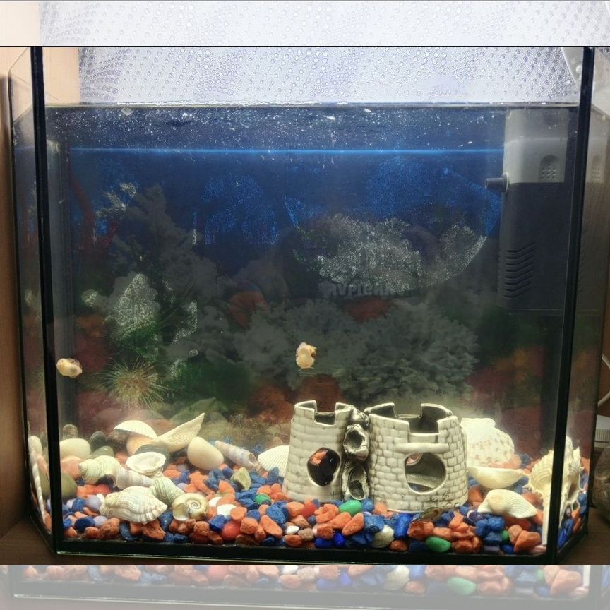 Аквариум с рыбками