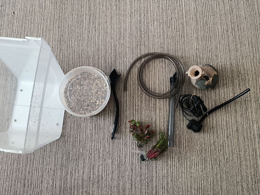 Первый аквариум для ребёнка (гуппи/петушок)