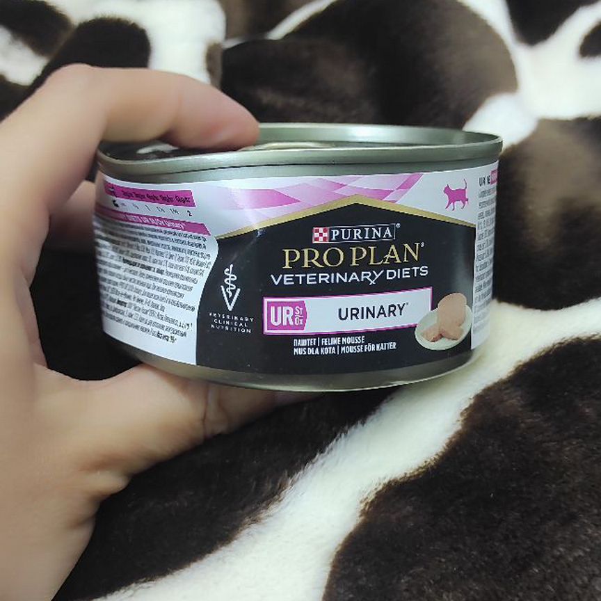 Про план уринарий паштет