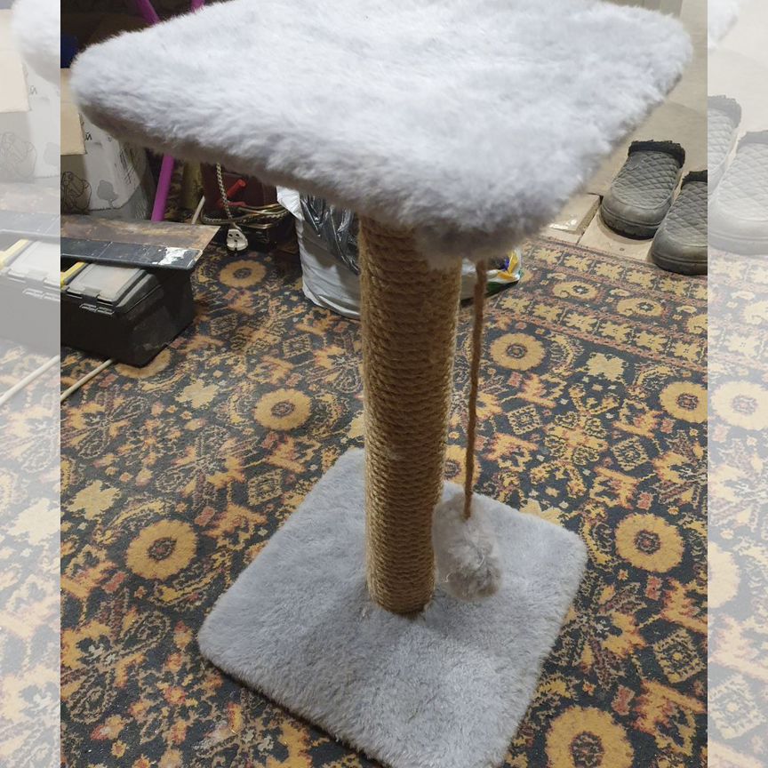 Когтеточка