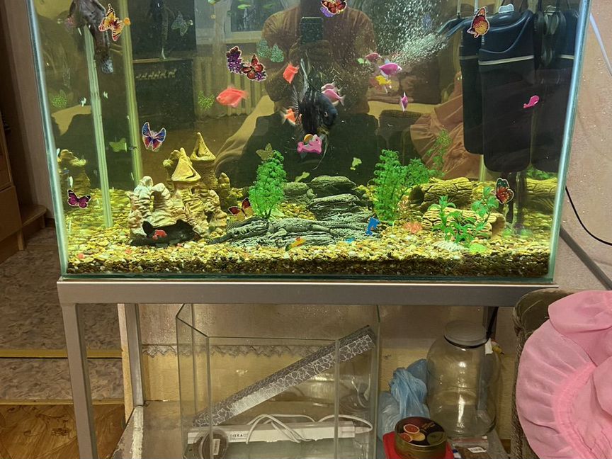 Аквариум