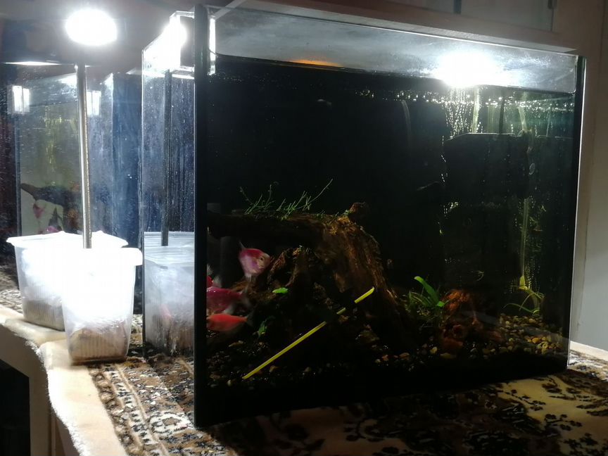 Аквариум с декором и рыбками