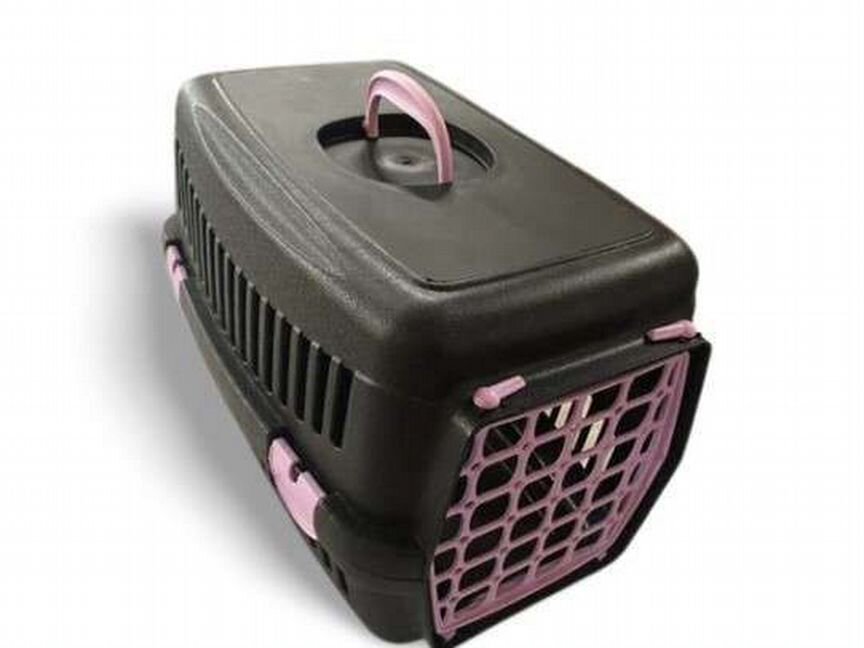 Переноска для кошек и мелких пород собак в аренду
