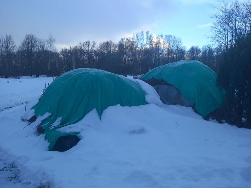 Продаю. Сена. 4Рулон. 250. Кг. 1шт. . 2023г