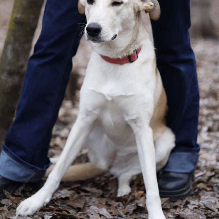 Выбери меня