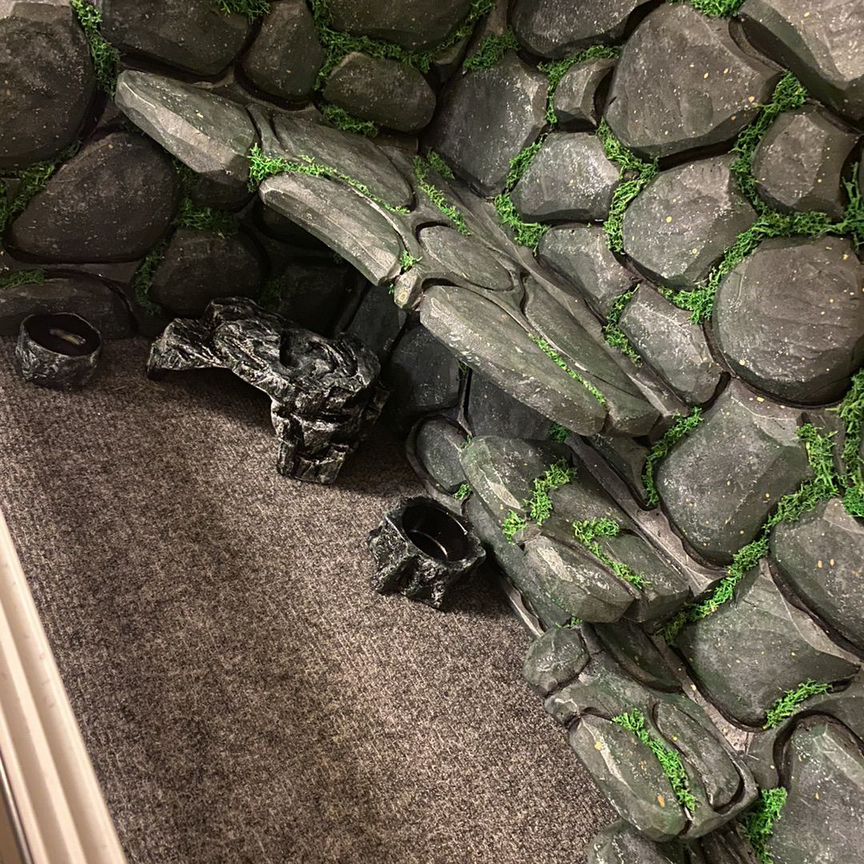 Террариум с обьемным фоном