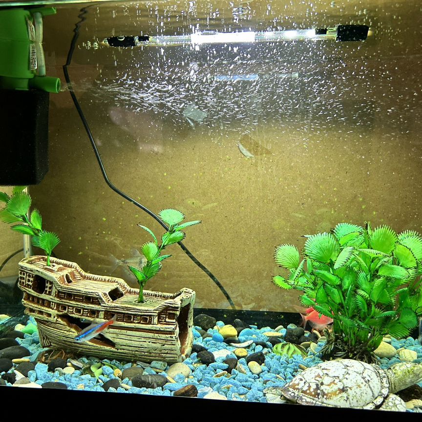 Аквариум с рыбками