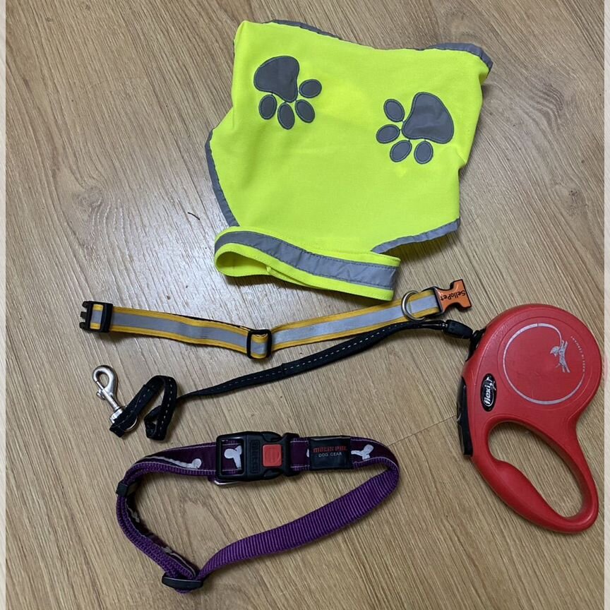 Для собак ошейники и поводок