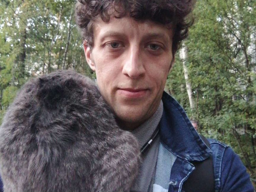 Кот для случки