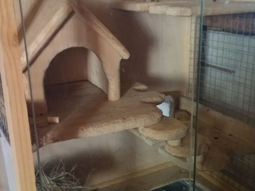 Витрина для шиншилл бу