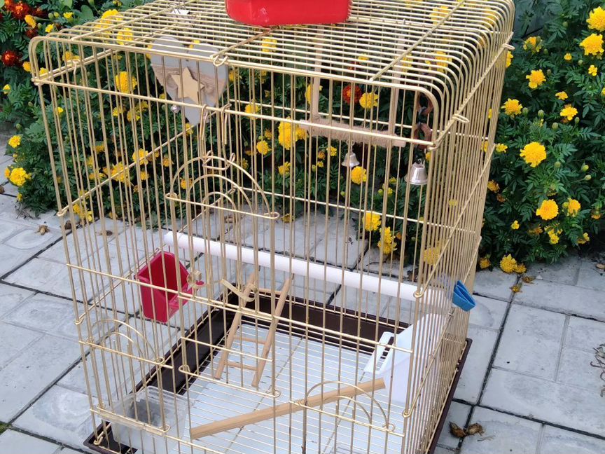 Клетка в отличном состоянии. Игрушки