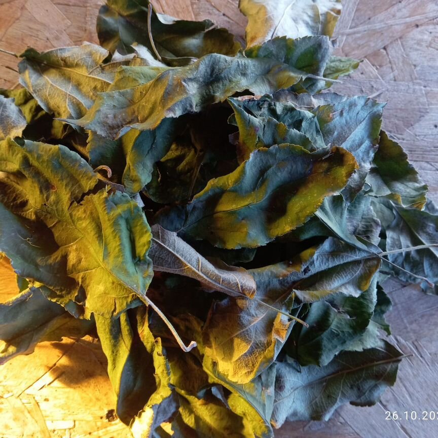 Листья для кроликов и грызунов