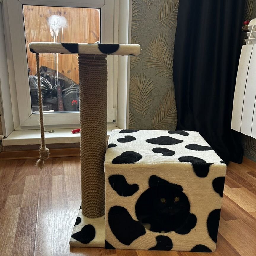 Когтеточка бу